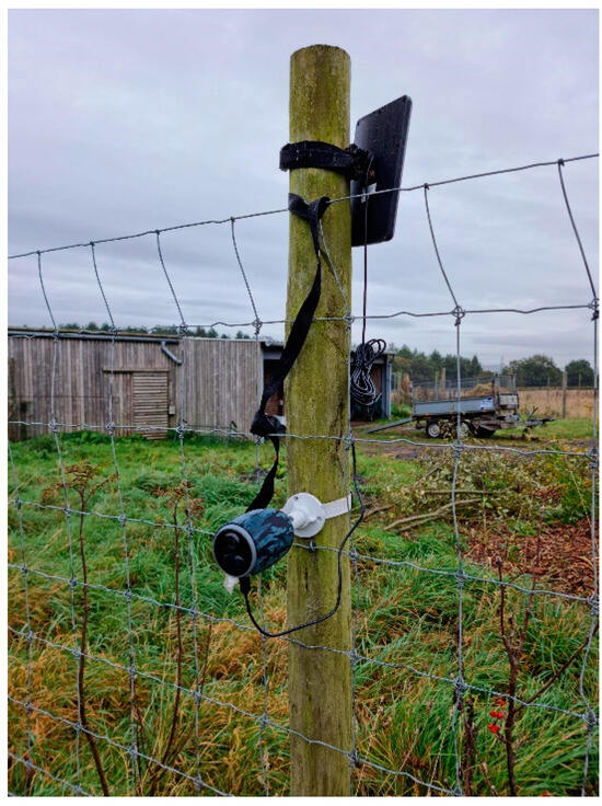 Harnessing Artificial Intelligence for Wildlife Conservation