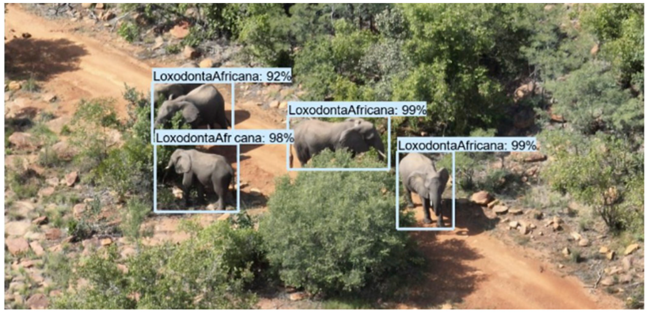Harnessing Artificial Intelligence for Wildlife Conservation