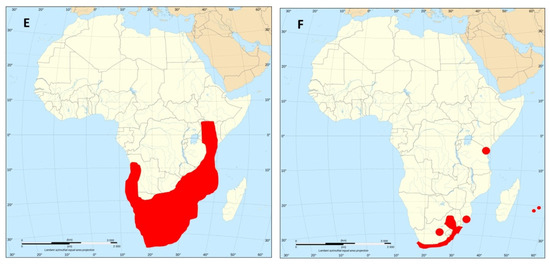 Alien Birds in Sub-Saharan Africa: An Overview