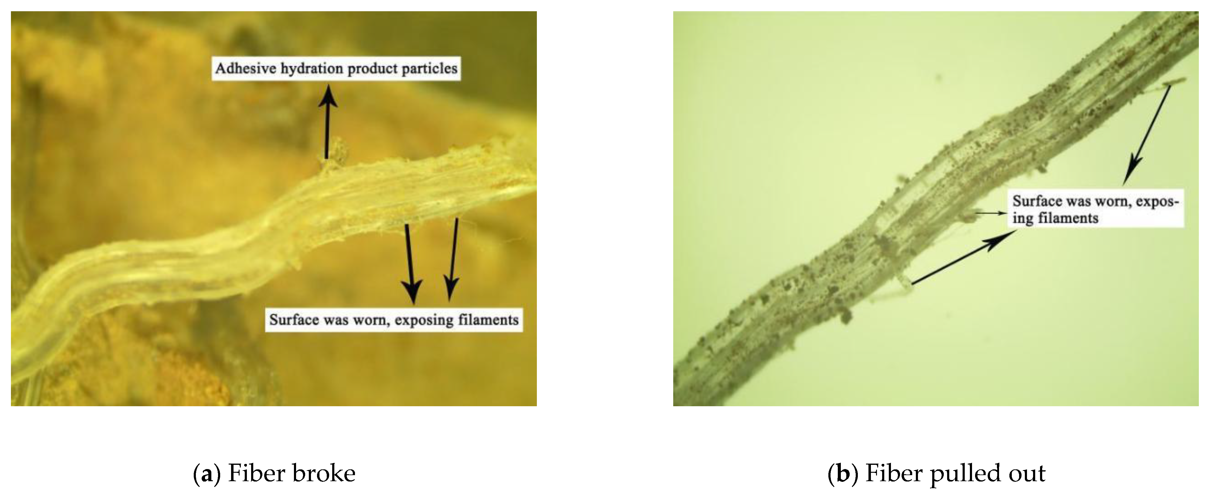 Features of the Reinforcement–Soil Interfacial Effect in Fiber ...