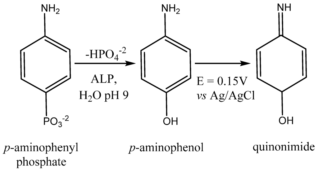 Types of Hair Dye and Their Mechanisms of Action
