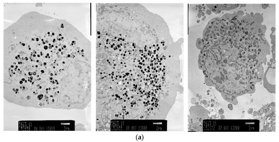 In Vitro Methods for Predicting Chemical Leukoderma Caused by Quasi ...