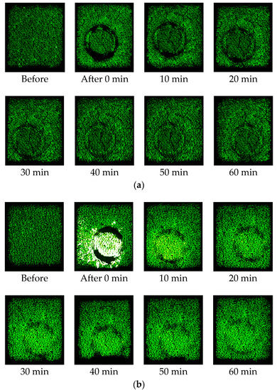 Capacitive Imaging for Skin Characterizations and Solvent Penetration ...