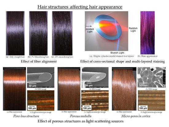 Cosmetics | Free Full-Text | Hair Structures Affecting Hair Appearance