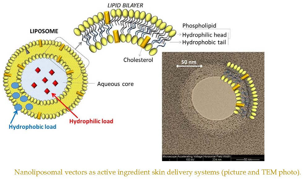 Cosmetics | Free Full-Text | Simil-Microfluidic Nanotechnology in ...