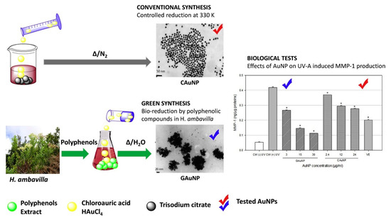 New Insights on Unique Features and Role of Nanostructured Materials in ...