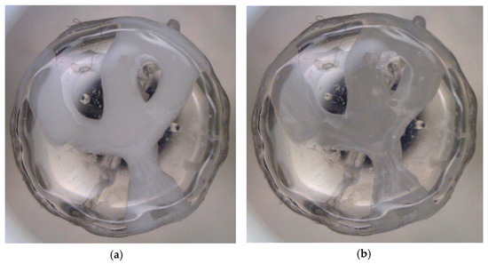 A Novel Method for the Evaluation of the Long-Term Stability of Cream ...
