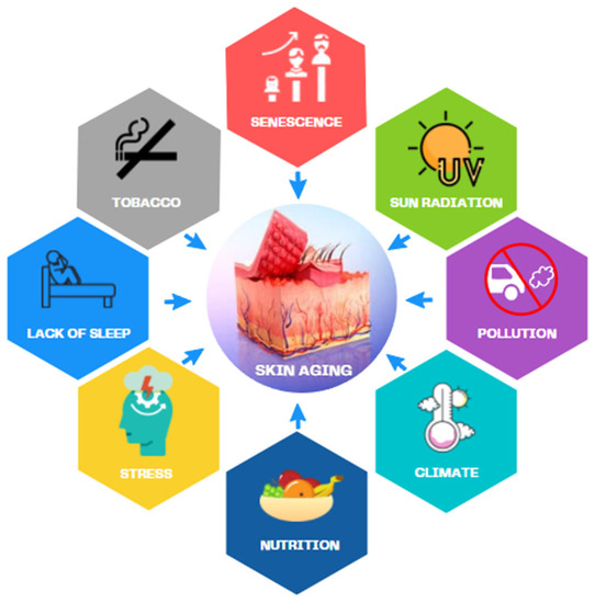 Natural Antioxidants from Plant Extracts in Skincare Cosmetics: Recent ...
