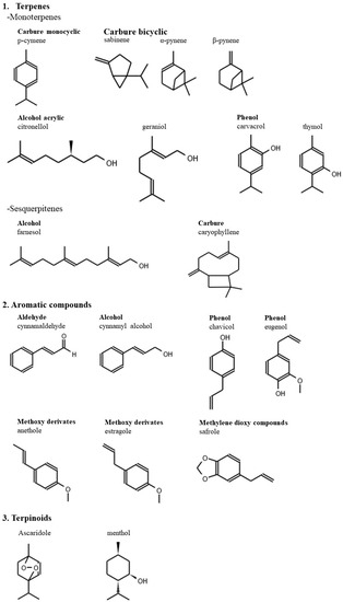 Essential Oils and Their Individual Components in Cosmetic Products