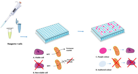 Cosmetics | An Open Access Journal from MDPI