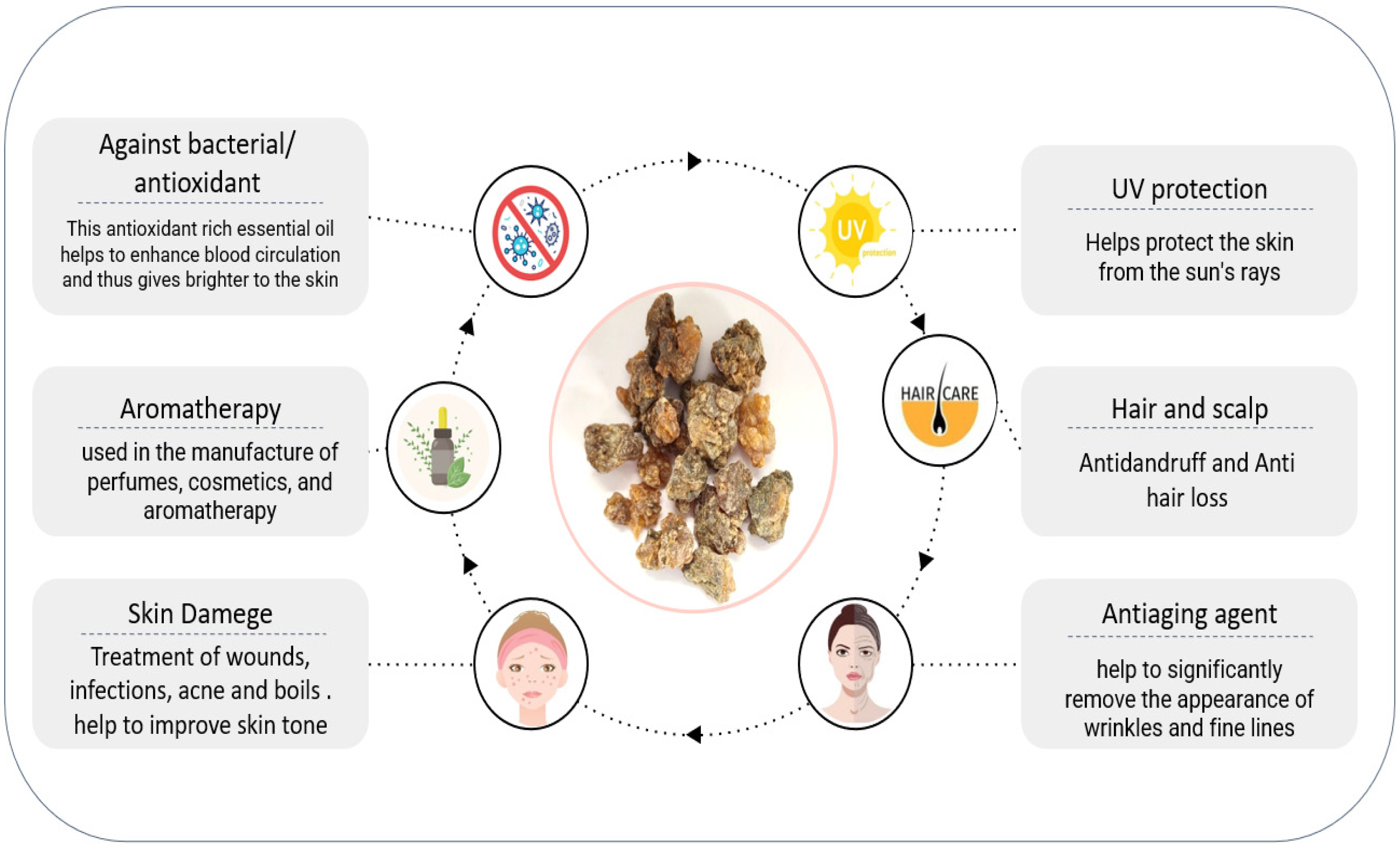 Biochemical Properties and Cosmetic Uses of Commiphora myrrha and ...