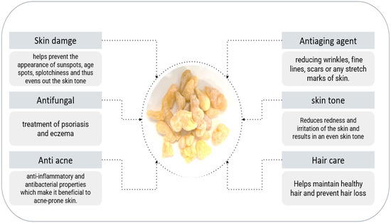 Biochemical Properties and Cosmetic Uses of Commiphora myrrha and ...