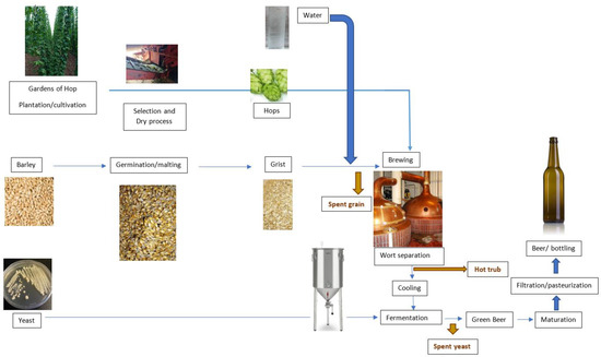 Cosmetics | Free Full-Text | Hop By-Products: Pharmacological ...