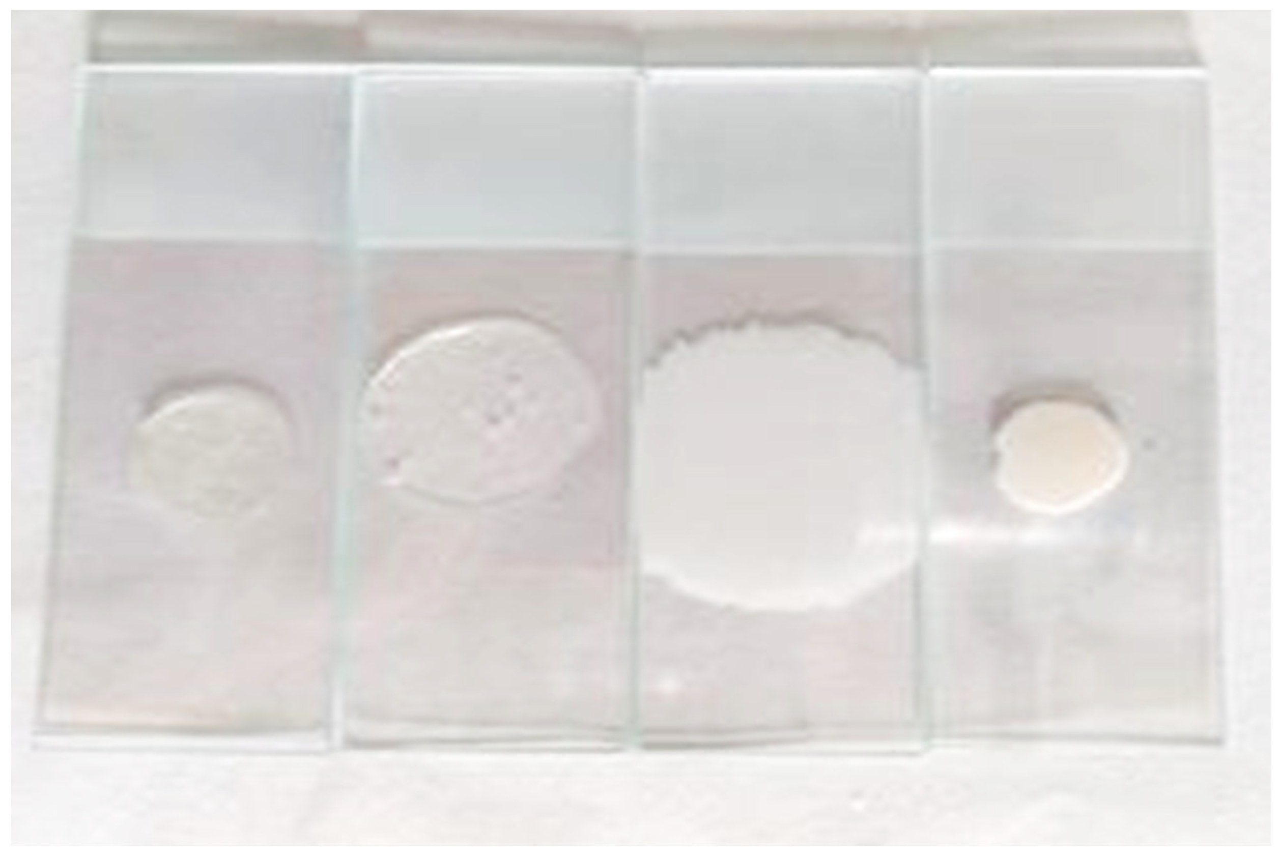 Ecodesigned Formulations with Tomato Pomace Extracts