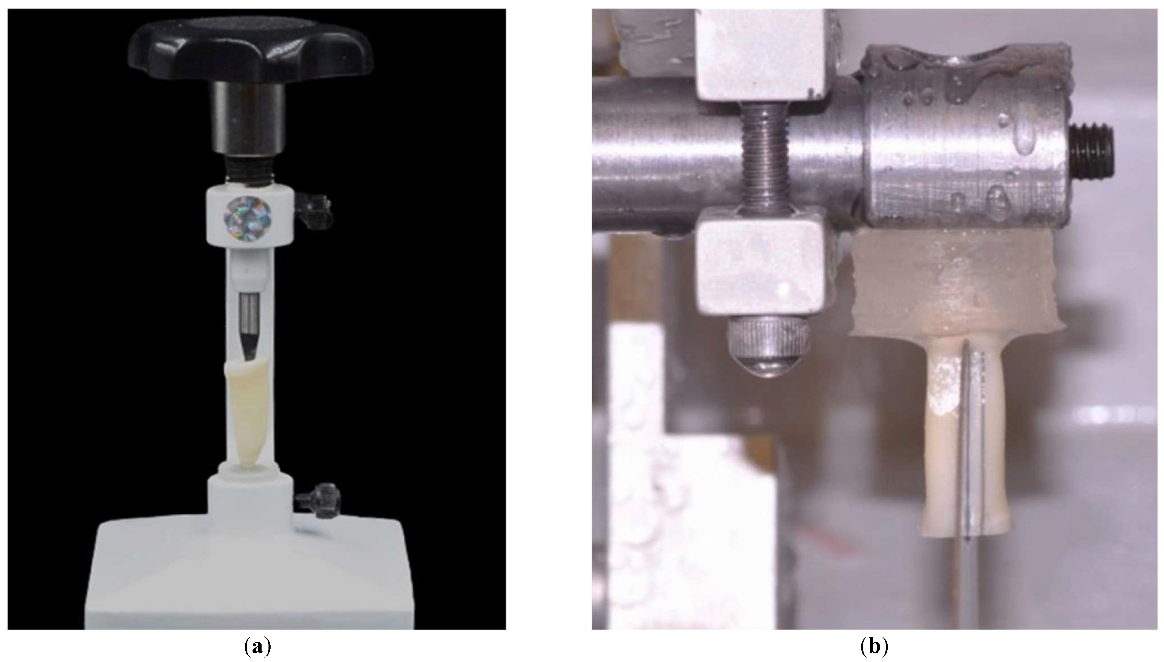 Radicular Intracanal Splitting Forces and Cutting Efficiency of NiTi ...