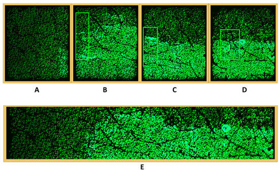 Skin Capacitive Image Stitching and Occlusion Measurements