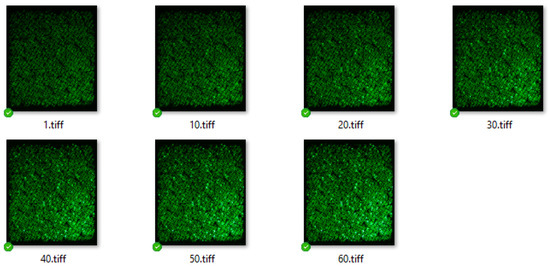 Skin Capacitive Image Stitching and Occlusion Measurements