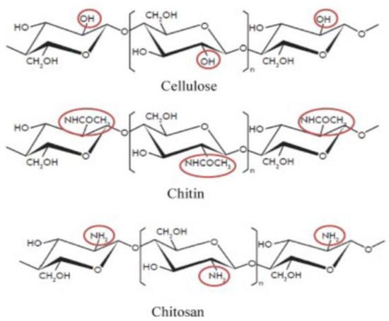 Natural Polymers and Cosmeceuticals for a Healthy and Circular Life ...