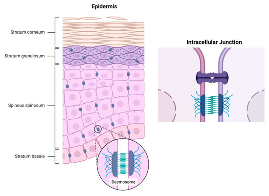 Current Insights into the Formulation and Delivery of Therapeutic and ...