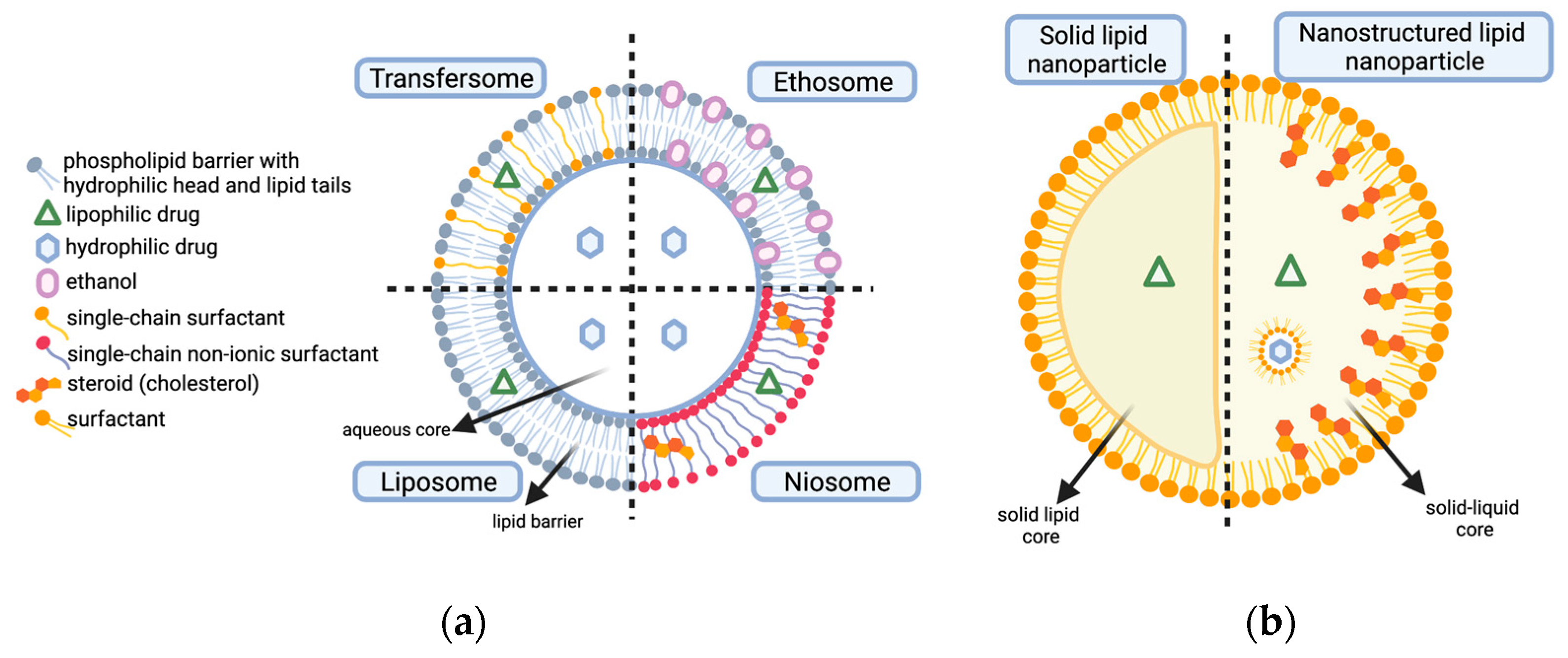 Cosmetics | Free Full-Text | Current Insights into the Formulation and ...