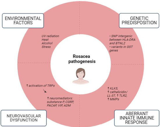 Acne-like Eruptions: Disease Features and Differential Diagnosis