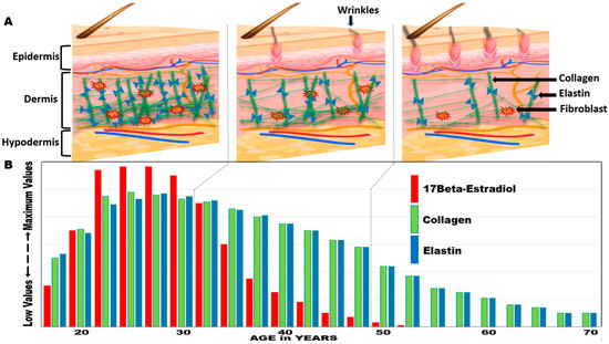 Enhancing Skin Anti-Aging through Healthy Lifestyle Factors