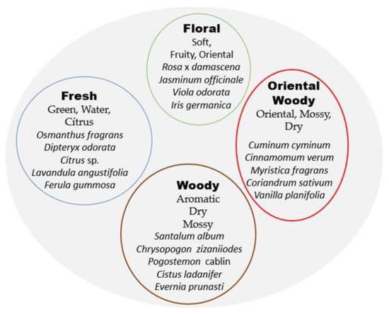 Pharmacy and Fragrances: Traditional and Current Use of Plants and ...