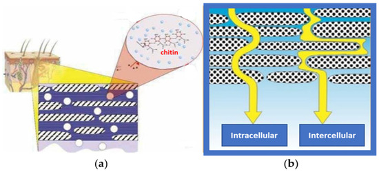 Smart Tissue Carriers for Innovative Cosmeceuticals and Nutraceuticals