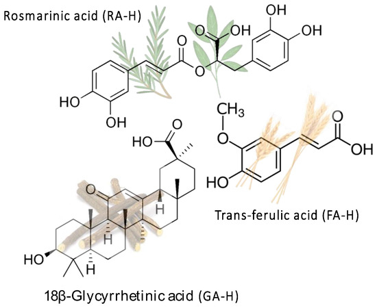 A Sustainable Multistage Process for Immobilizing Bioactive Compounds ...