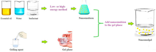 Plant Essential Oil Nanoemulgel as a Cosmeceutical Ingredient: A Review