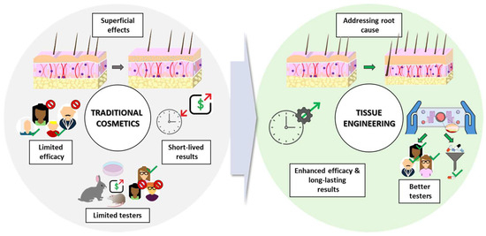Regenerative Cosmetics: Skin Tissue Engineering for Anti-Aging, Repair ...