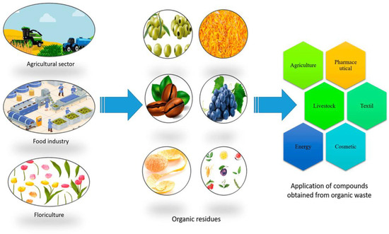 Antimicrobial Compounds from Food Waste in Cosmetics