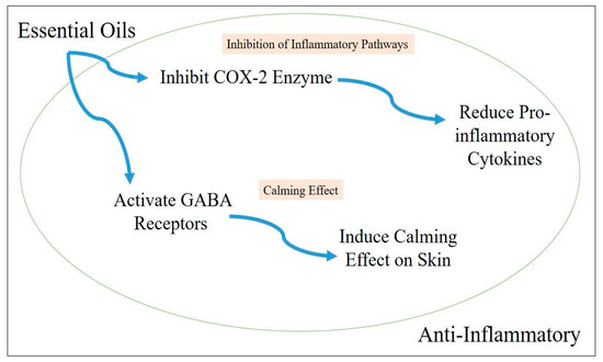 Essential Oils as Dermocosmetic Agents, Their Mechanism of Action and ...