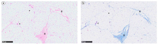 Methods for Chin Area Augmentation: Efficacy Evaluation and Prospects ...