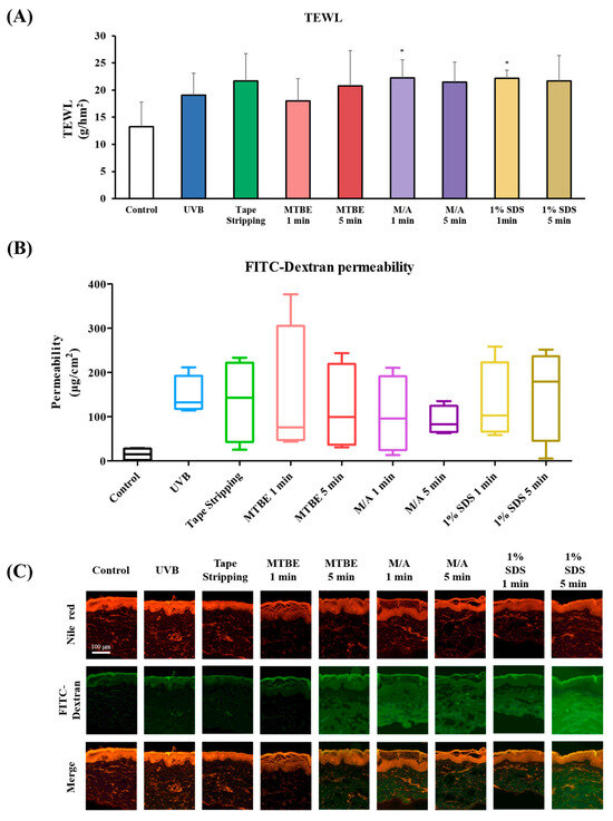 A Novel In Vitro Dry Skin Model Using Minipig and Human Cadaver Skin ...