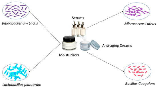 Bioengineered Skin Microbiome: The Next Frontier in Personalized Cosmetics