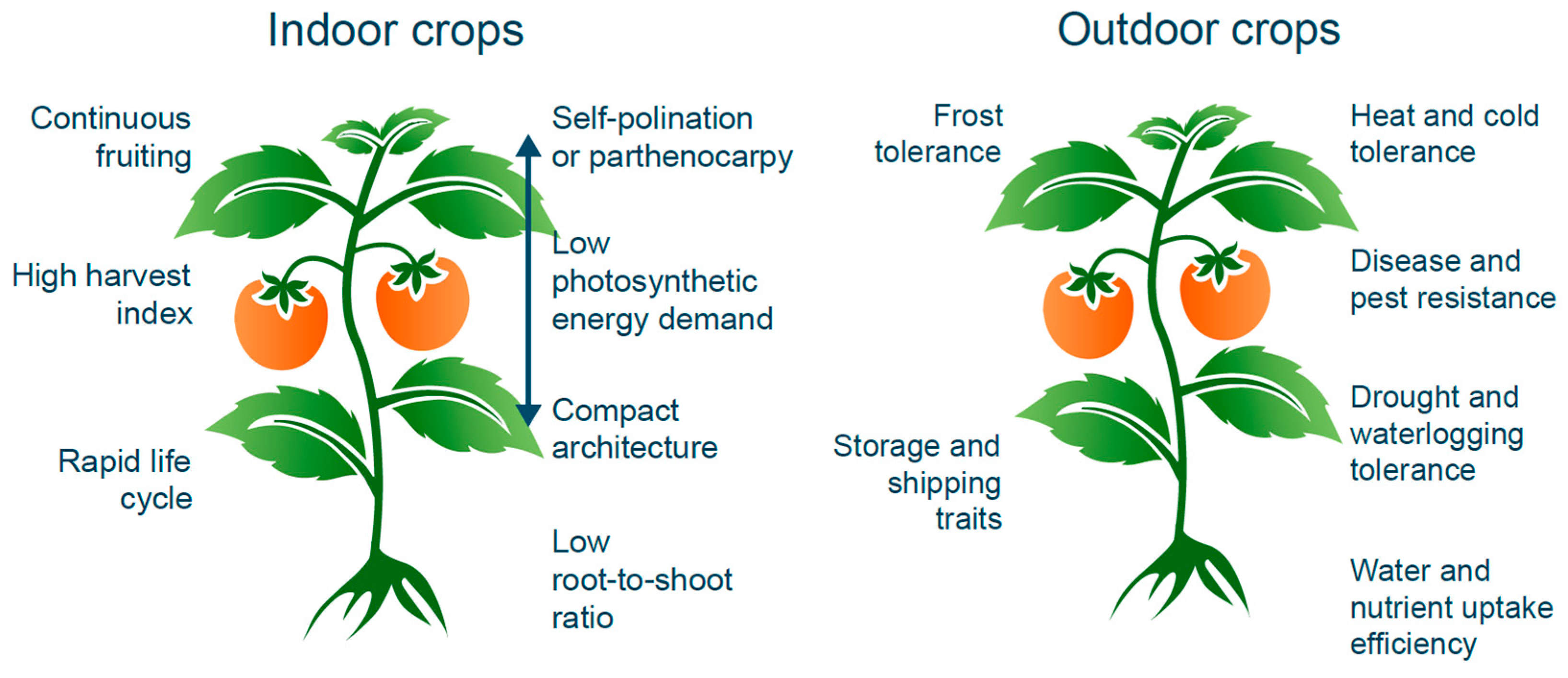 Current Technologies and Target Crops: A Review on Australian Protected ...