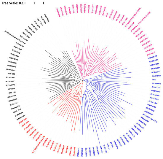 Crops | Free Full-Text | Investigating Genetic Diversity and Population ...