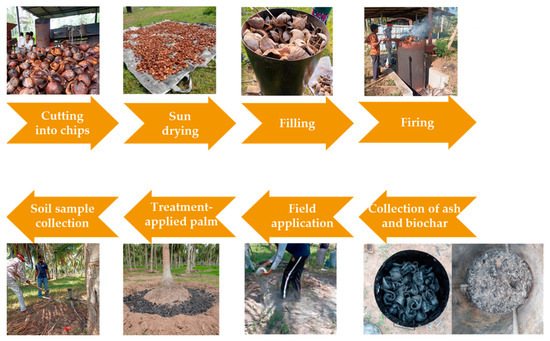 Assessing the Impact of King Coconut Husk Ash and Biochar, Combined ...