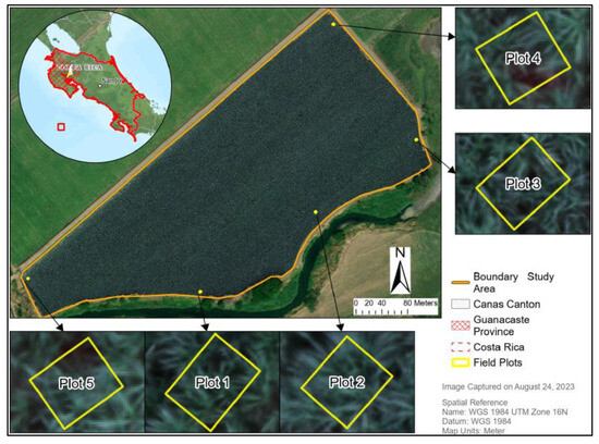 Estimating Sugarcane Maturity Using High Spatial Resolution Remote Sensing Images
