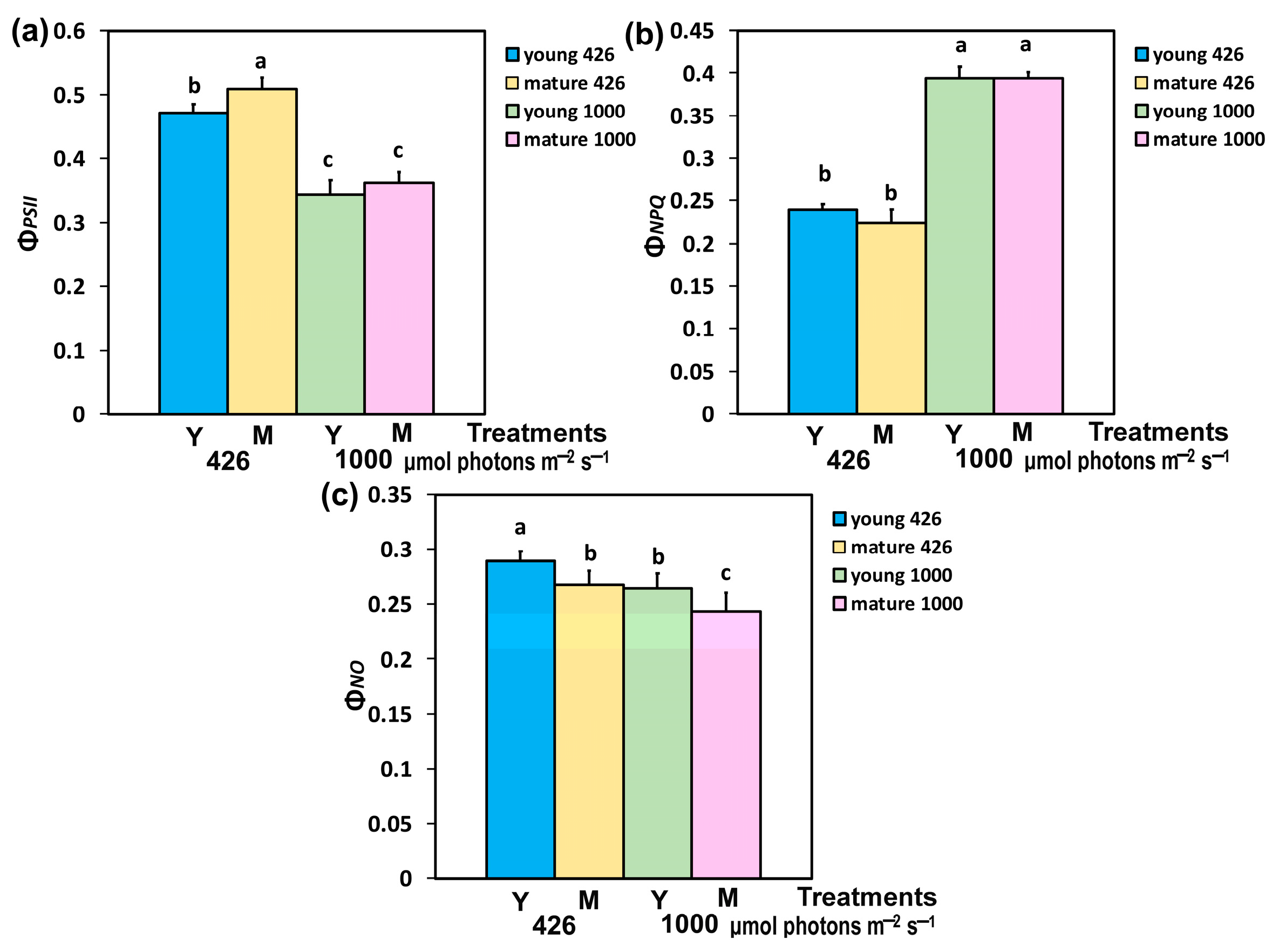 Light Energy Use Efficiency in Photosystem II of Tomato Is Related to ...