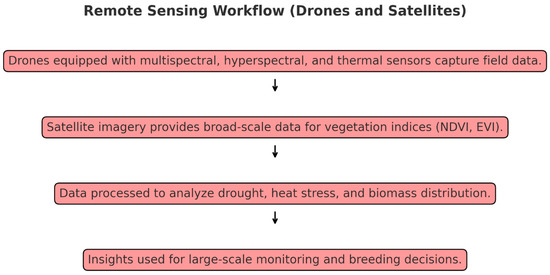 Advanced High-Throughput Phenotyping Techniques for Managing Abiotic Stress in Agricultural ...