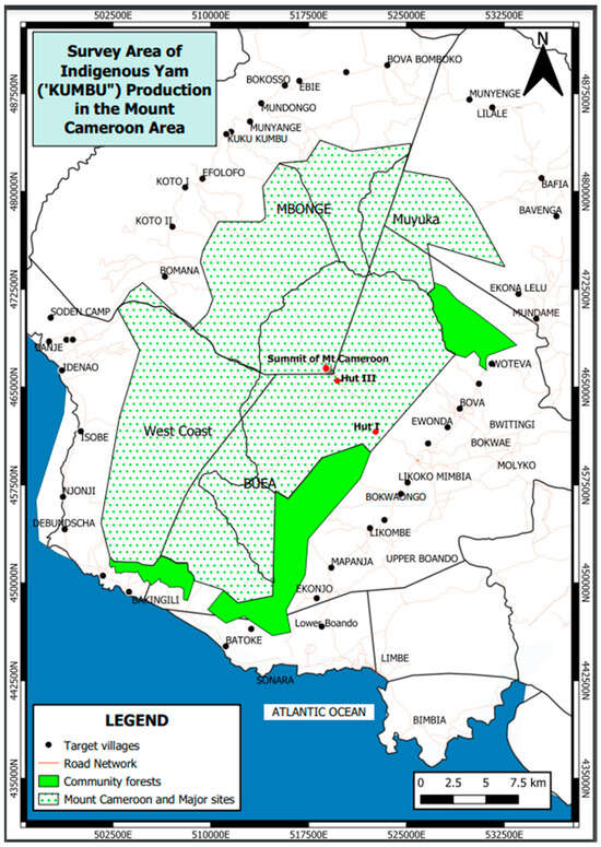 Indigenous Knowledge on Edible Wild Yams (Kumbu) in the Mount Cameroon ...