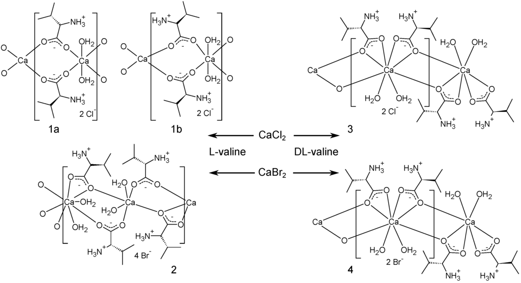 Incidental Polymorphism, Non-Isomorphic and Isomorphic Substitution in ...