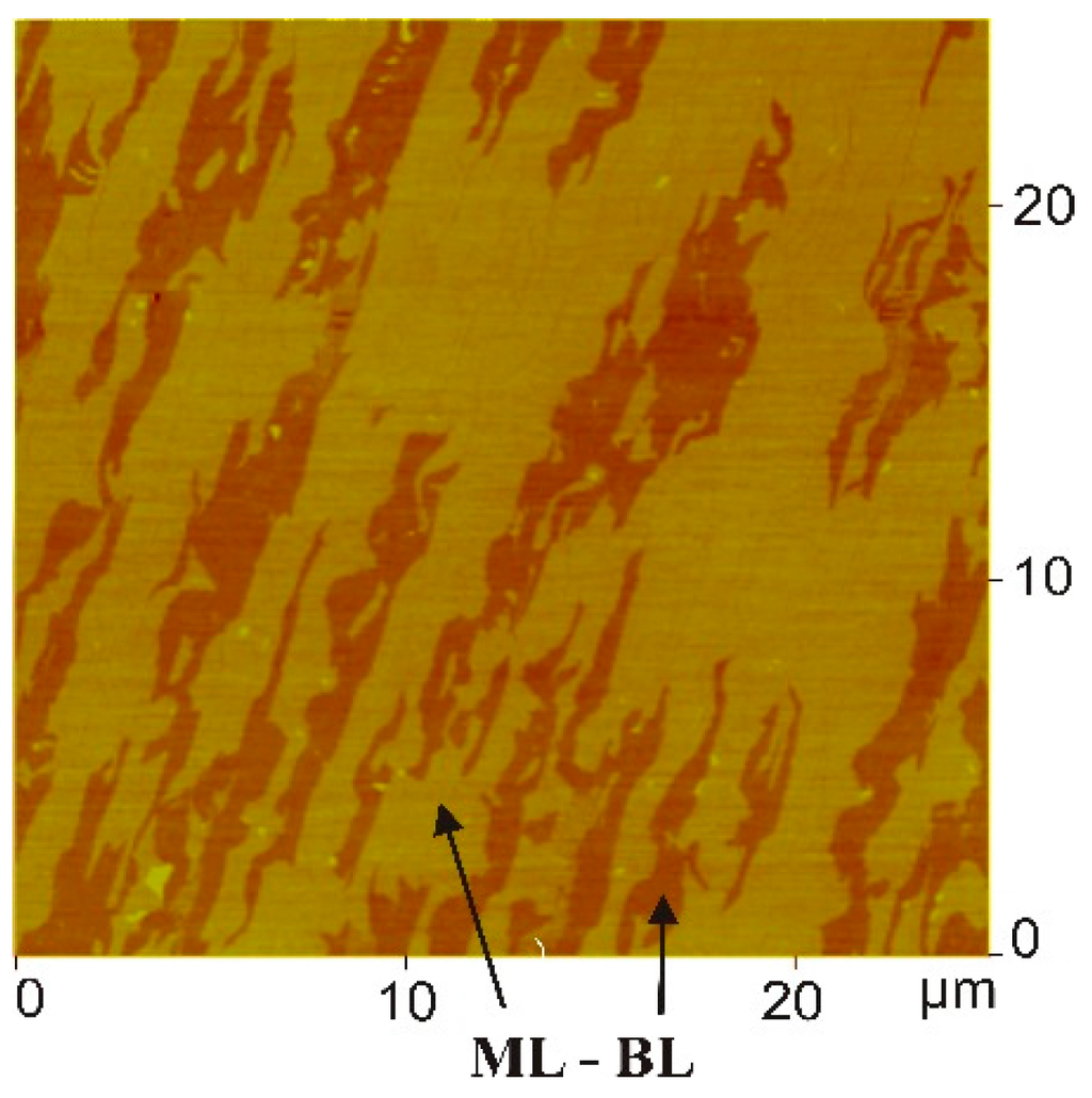 Epitaxial Graphene on SiC: A Review of Growth and Epitaxial Graphene on SiC: A Review of Growth and