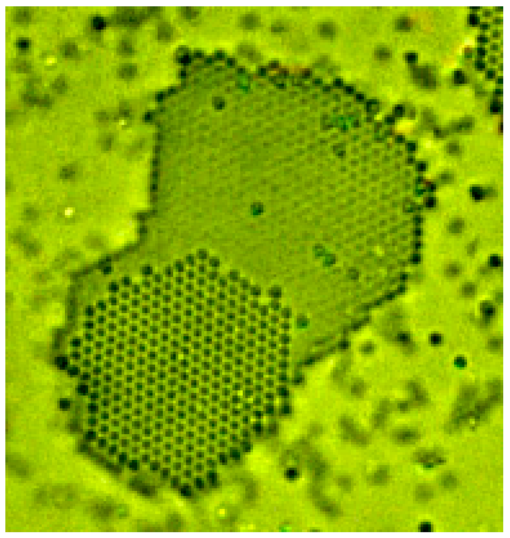 Adsorption, Desorption, Surface Diffusion, Lattice Defect Formation ...