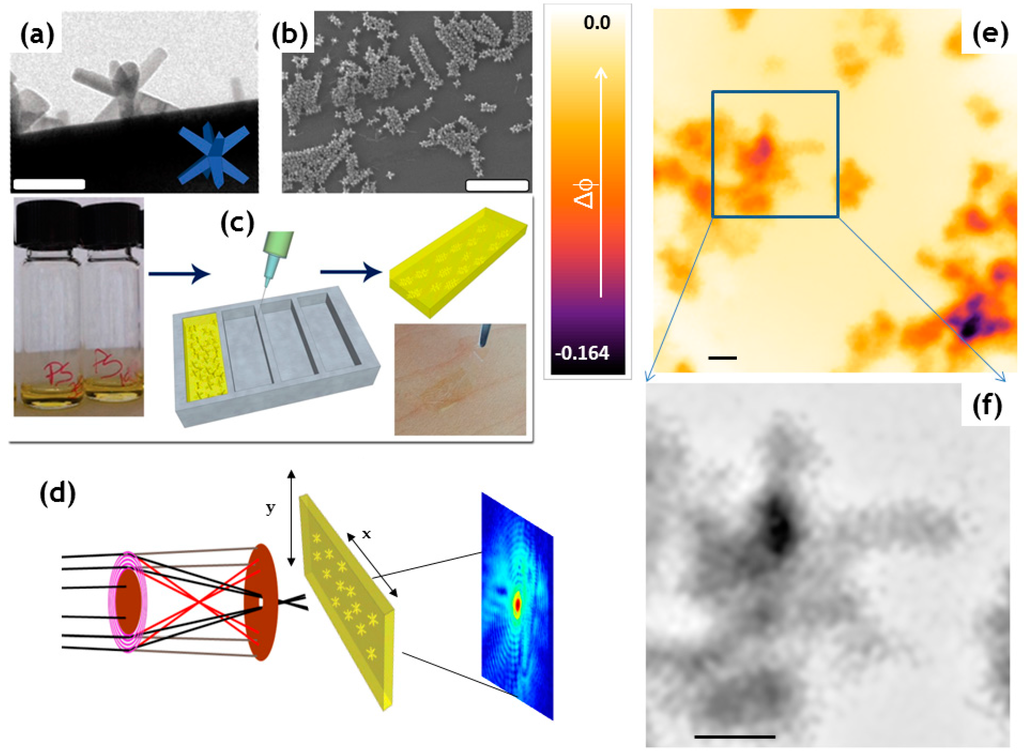 X-ray Diffraction: A Powerful Technique for the Multiple-Length-Scale Structural Analysis of ...