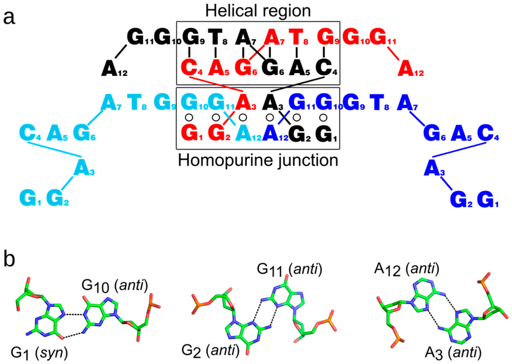 3D DNA Crystals and Nanotechnology