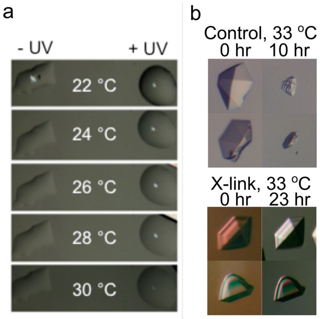 3D DNA Crystals and Nanotechnology