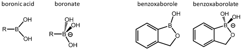 Boron-Based (Nano-)Materials: Fundamentals and Applications
